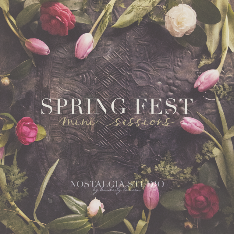 2016 Spring Fest Mini Sessions | Nostalgia Studio